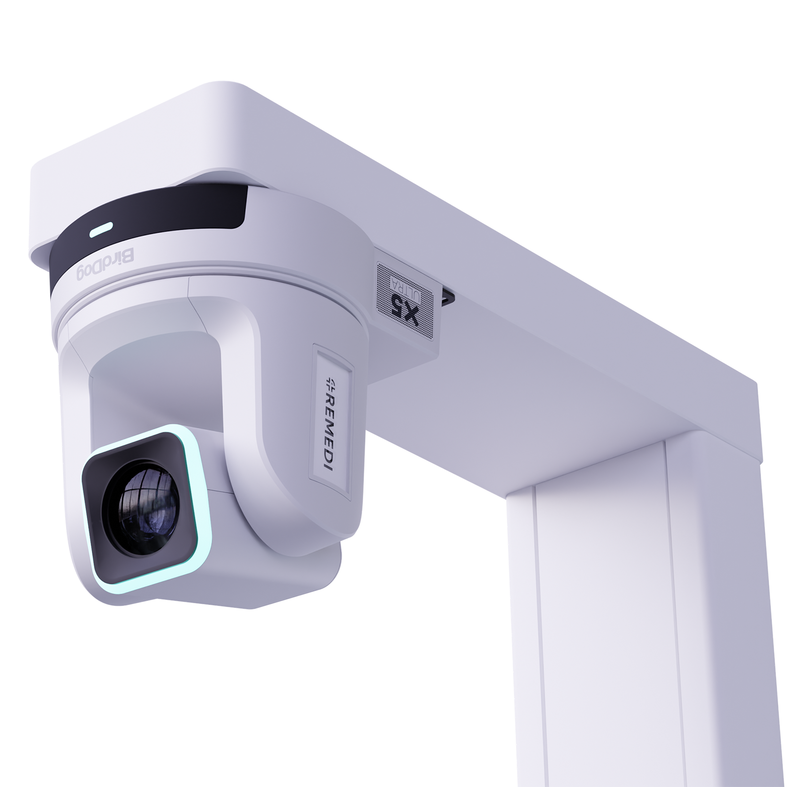 Remedi Cast – Remedi